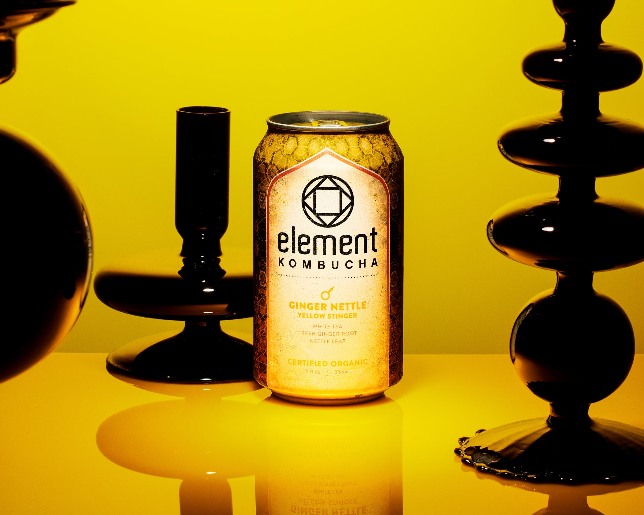 Ginger Kombucha San Antonio | Element Kombucha