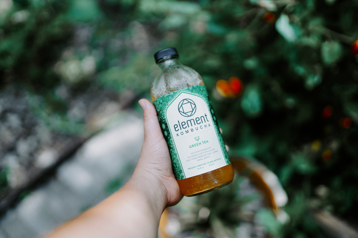 Green Tea Kombucha San Antonio (Case of 6 16oz Bottles) | Element Kombucha
